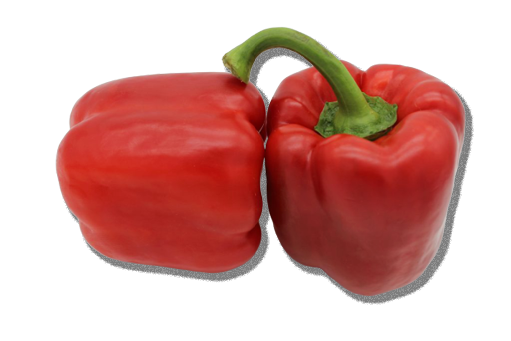 Exotica Rungis - Importateur de produits exotiques - vente en gros